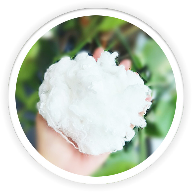 Polyester ECDP fiber