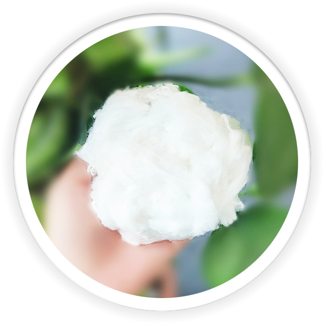 ECDP Regenerated Polyester Staple Fiber