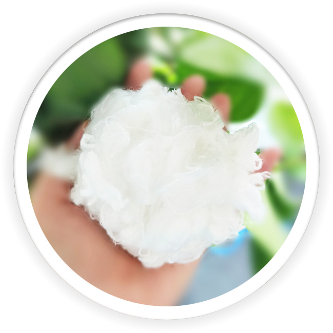 Polyester Dumbbell Fiber