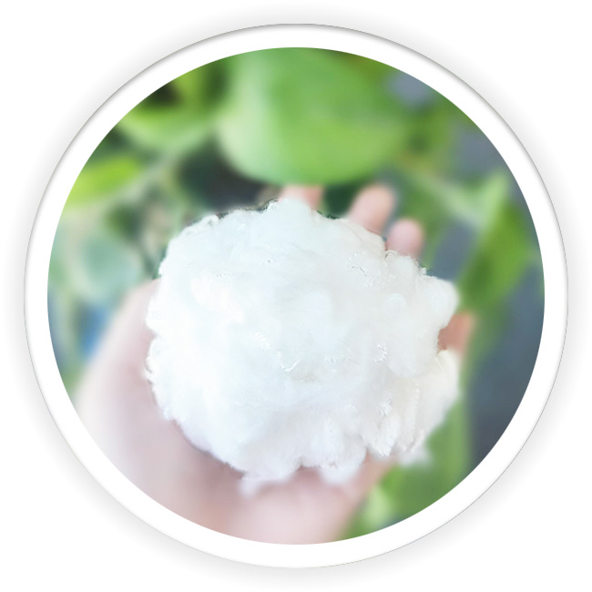 Trilobal Polyester Staple Fiber