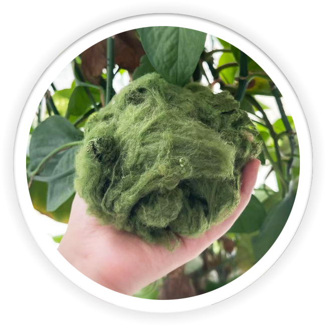 Green Black PSF Dope Dyed Fiber