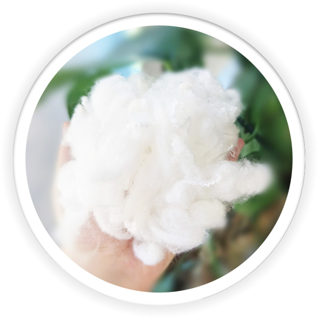 Polyester Fire Retardant Fiber