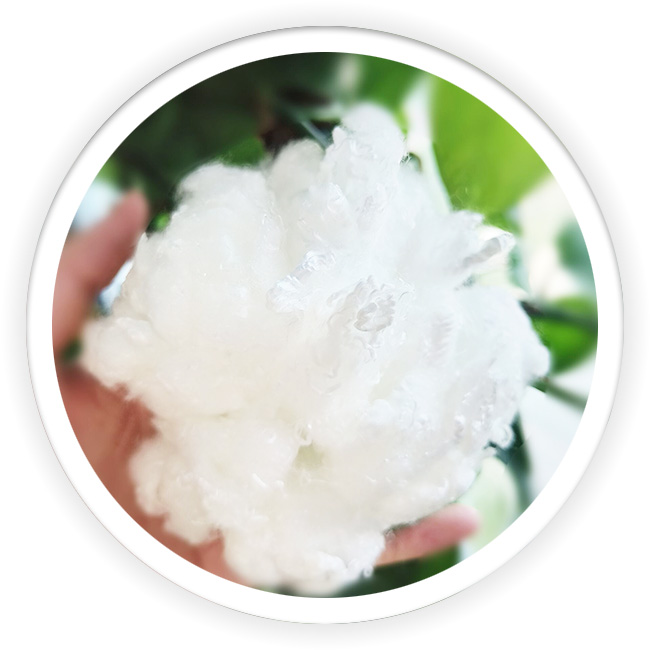 PLA Fiber for Filling