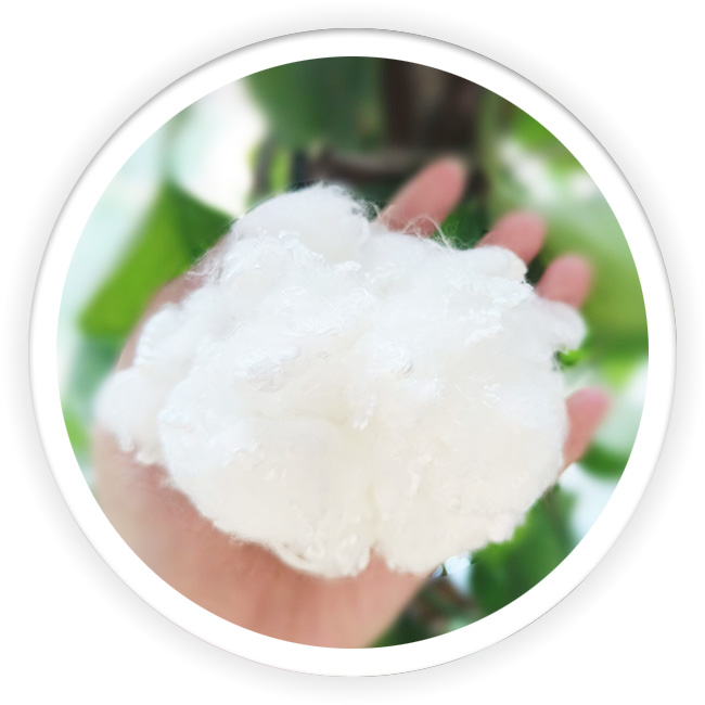 Hollow Polylactic Acid Fiber