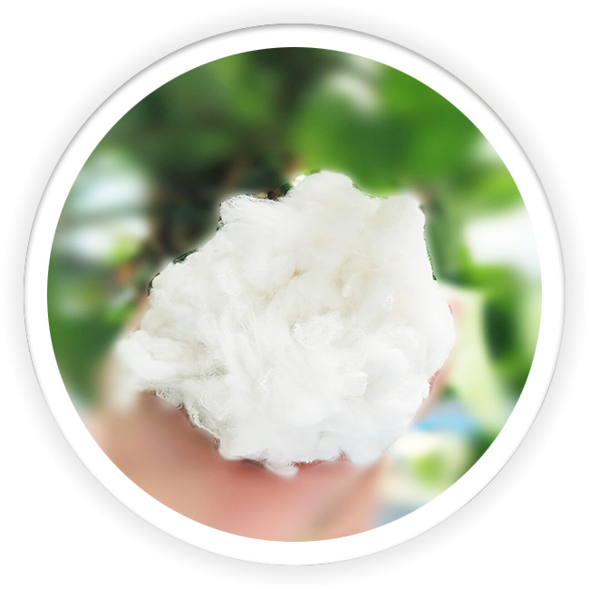 Polyester Coffee Carbon Fiber