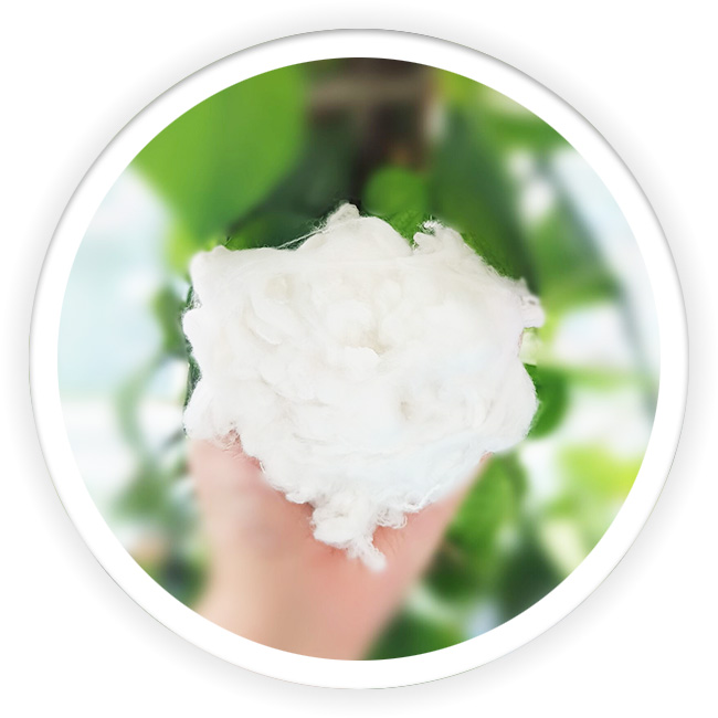 Coffee Carbon Polyester Fiber