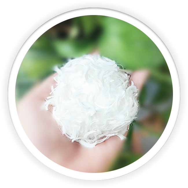 Short Cut Mirco PLA Fiber