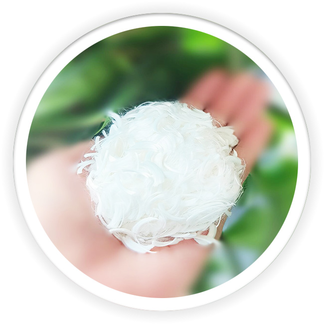 PLA Short Cut Staple Fiber