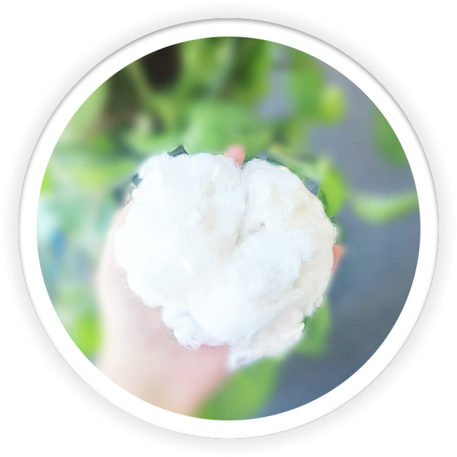 Solid PSF Trilobal Staple Fiber